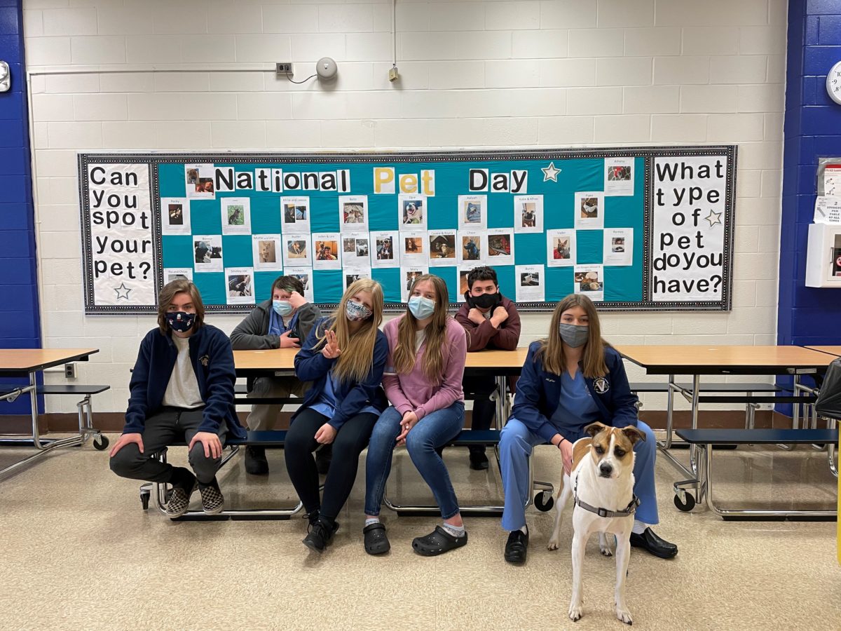 National Pet Days - Thank you - Vinal Technical High School